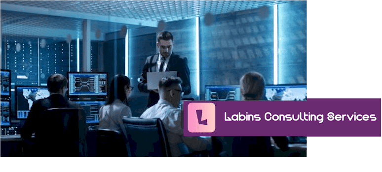 Move – Labins Consulting Services