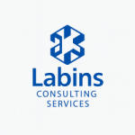 Labins Consulting Services